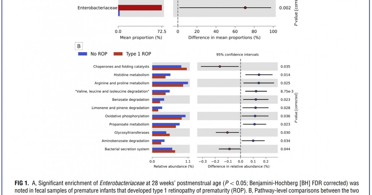 Microbiome in Retinopathy of Prematurity (ROP) | Department of ...